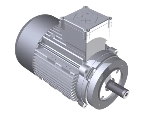 RAEL ATEX motors - Jens S (English)